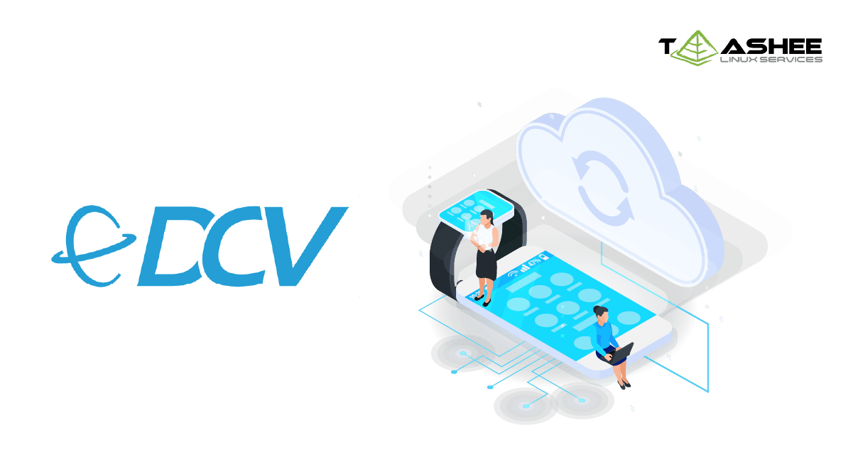 10 Easy Steps to Integrate NiceDCV with AWS Cloud: A Technical Guide ...